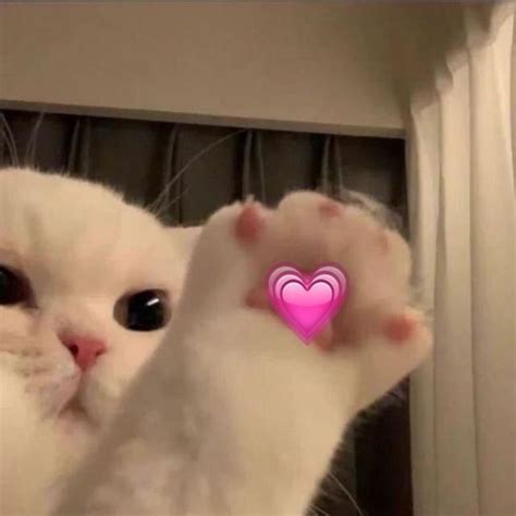 𝐒𝐢𝐭𝐚𝐫𝐚 𝐄𝐬𝐭𝐫𝐞𝐥𝐥𝐚 19 wen Threads Say more