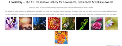 Top 10 Wordpress Portfolio Plugins For Crafting Stunning Online Portfolios
