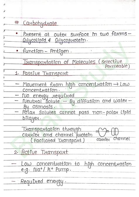 Ncert Class 11 Biology Cell The Unit Of Life Notes Pdf Handwritten