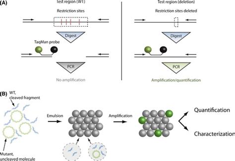 Overview Of Digital Deletion Detection 3d A Enrichment Of
