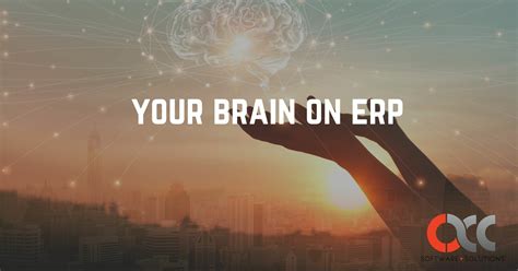 Your Brain On Erp Acc Software Solutions