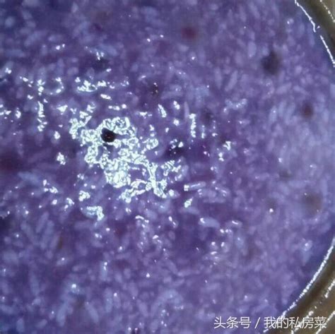 分享一款美容又營樣的紫薯大米粥黏黏糊糊的又甜甜的很不錯哦 每日頭條