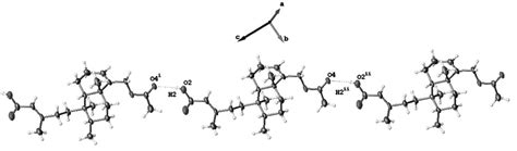 A View Of The One Dimensional Supramolecular Aggregate Showing The Download Scientific Diagram