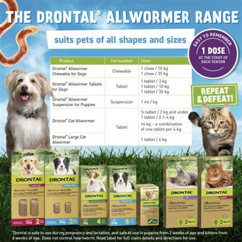 Drontal Allwormer Tablets For Cats Drontal