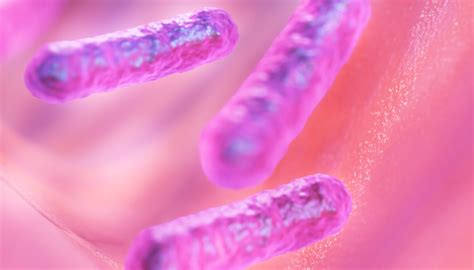 3 Signs You May Have A Chronic Uti Homeopathy With Saila