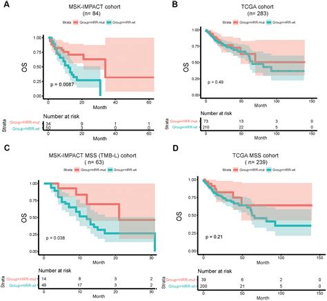 The Mutational Pattern Of Homologous Recombination Related HRR Genes