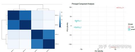 Rna Seq入门实战（四）：差异分析前的准备——数据检查 知乎