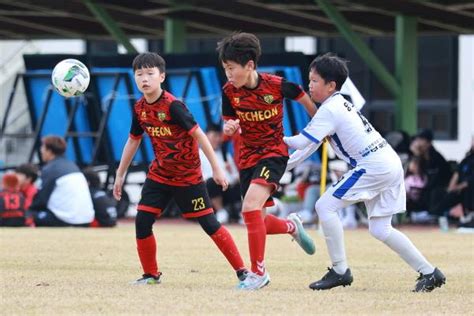 예천군 유소년 축구축제 2023 예천 풋볼페스타 성료 Nsp통신