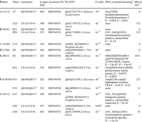 Sequence Analysis Of Msap Markers Showing Different Amplification
