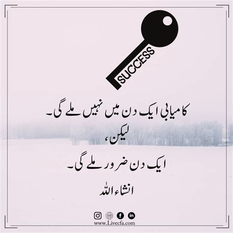 Tajalli Shareef On Linkedin Insha Allah