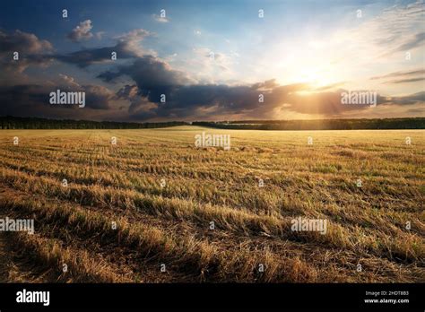Twilight Field Twilights Fields Stock Photo Alamy