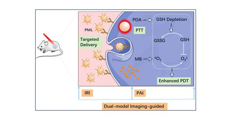 Polydopamine Based Multifunctional Antitumor Nanoagent For Phototherapy