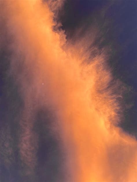 Can You Spot The Tiny Moon Canning Spots Tiny