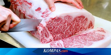 Daftar Negara Penghasil Daging Sapi Terbesar Di Dunia