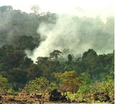 Brésil la déforestation de l Amazonie en hausse de sur un an Sciences et Avenir
