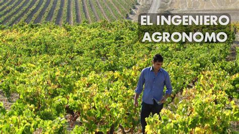 Ingeniero Agrónomo Qué es funciones perfil y más