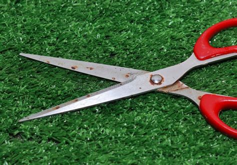 Sharp Scissors On Grass Stock Image Image Of Minimalist 277128829