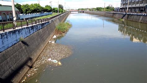 梧棲大排魚屍遍野3天 周邊居民惡臭難耐 生活 中時