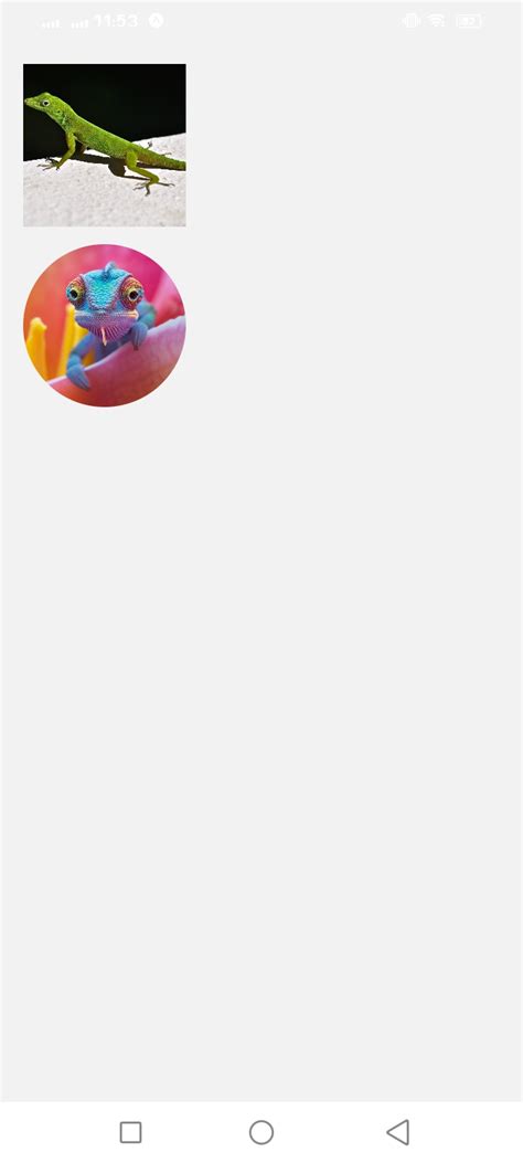 Ultimate Guide To React Native Image Components