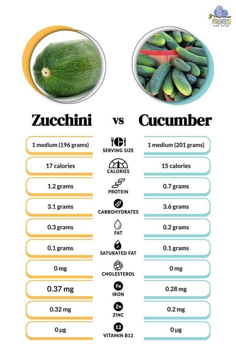 Zucchini Vs Cucumber 6 Differences Health Benefits For Each And Recipes