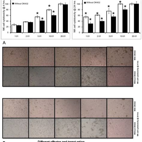 Cellular Cytotoxicity Of Expanded Nk Cells A Killing Efficacy Of