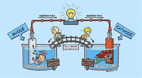Beautiful Explanation Of Zn Cu Galvanic Cell 🎥 Difluorine The Summary 1 Oxidation Takes Place