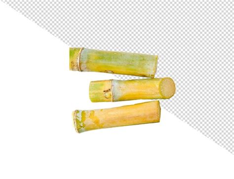 Cana de açúcar e folha png PSD Premium