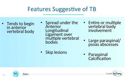 Mri Spinal Tb What Does It Look Like Radedasia
