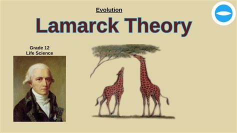 Evolution Lamarck And Darwin Theory Giraffe Concept Life Science