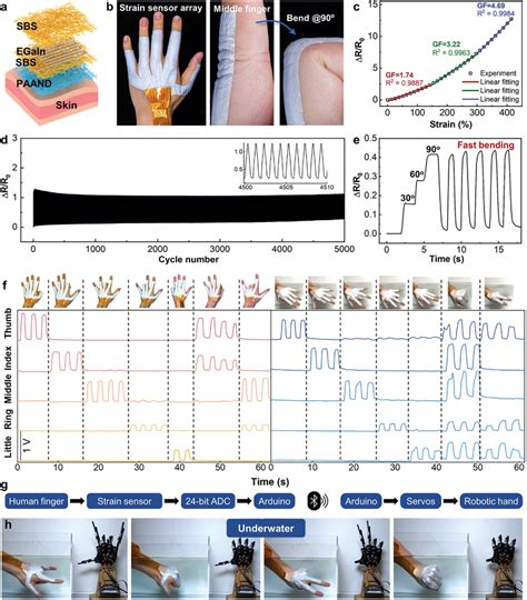 Wade‐skin As Strain Sensor Array Enabling Human‐machine Interactions Download Scientific