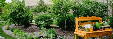 Land Acknowledgement Statement Touchstone Mental Health