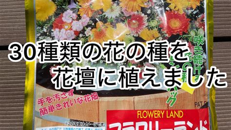30種類の花の種を植えました Youtube