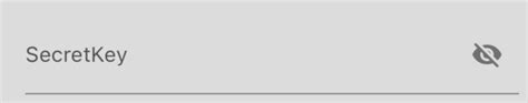 During Entry Edit Mask The Secret Key By Default And Add A Button To
