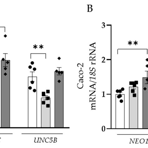 Gene Expression Levels Of Neogenin 1 Neo1 Deleted In Colorectal