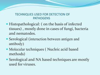 Different Techniques For Detection Of Plant Pathogens PPTX