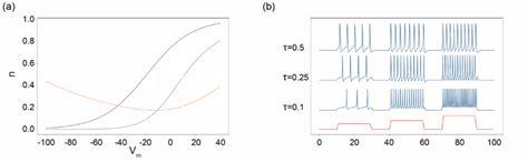 Modification In Gating Variables A Ninf Of Our Model In Blue And