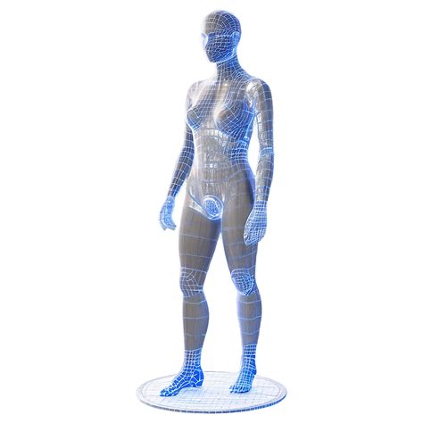 Download Wireframe Mannequin Png 58