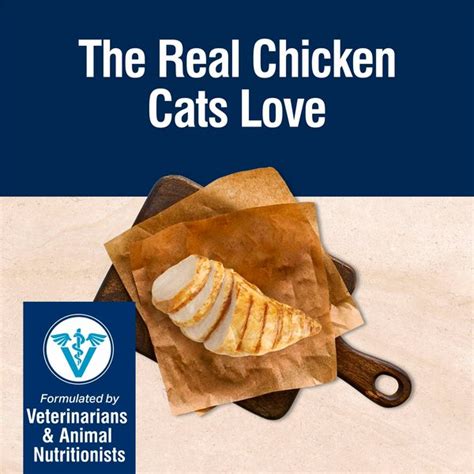 Blue Buffalo True Solutions Urinary Care Chicken Pate Wet Cat Food 3