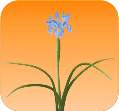 Excel Note