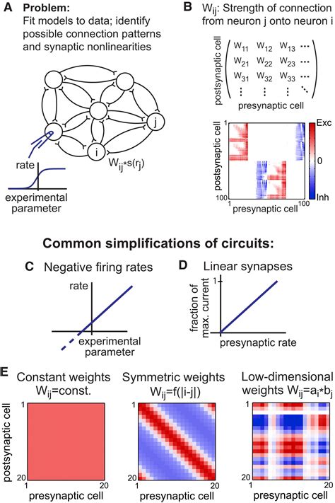 A Modeling Framework For Deriving The Structural And Functional
