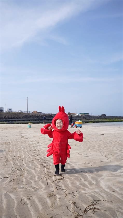 나나스냅 김세인 [제주아기해녀 돌하르방 돌스냅] 디비디비딥🤏🏻🤏🏻 아니 우리 아가 포즈 장인아니냐구요ㅠㅠㅠ 아빠가 목마태워