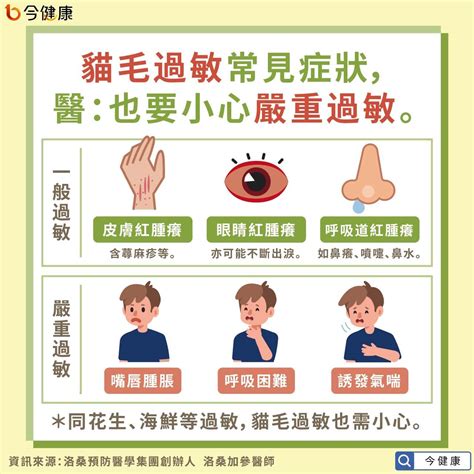對貓過敏怎麼辦？醫教4招逆轉：或許過敏關鍵不是貓！ 專欄 三立新聞網 Setncom