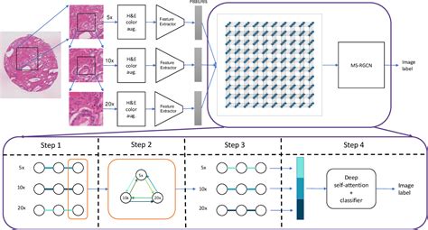 Multi-Scale Relational Graph Convolutional Network for Multiple Instance Learning in ...