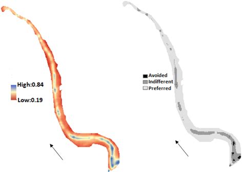 Habitat Suitability Left And Habitat Classification Right Download Scientific Diagram
