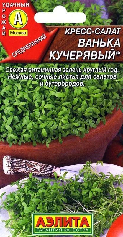 Семена Кресс-салат Ванька - кучерявый®: описание сорта, фото - купить с ...