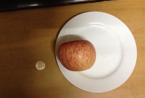 Github Kallentuchowdr Food Object Detection With Base Faster R Cnn