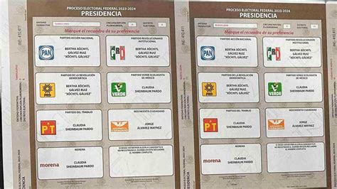 Ejemplo De Boleta Electoral 2025 Raza Skye