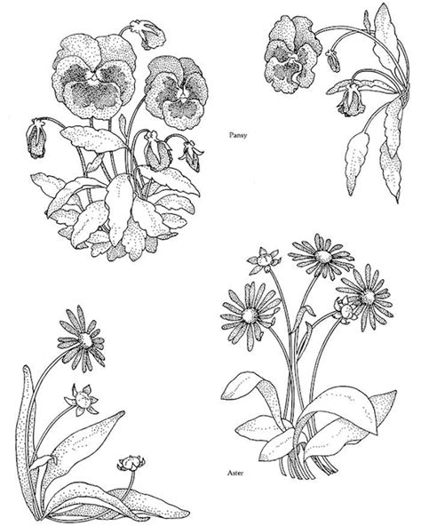 Как нарисовать растение