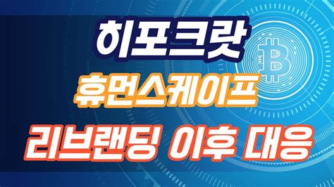 히포크랏 전망 히포크랏 코인 휴먼스케이프 리브랜딩 이후 6~7월 대응전략 확인하세요 Youtube