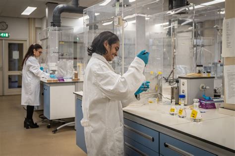 Nioz Marine Microbiology And Biogeochemistry Department On Linkedin